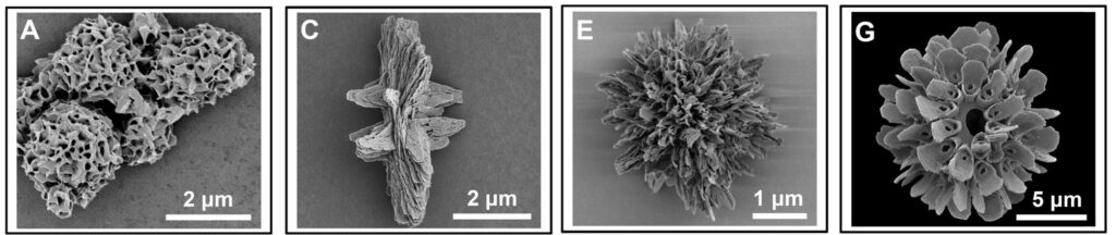 Kotov Lab – Home for Kotov Lab